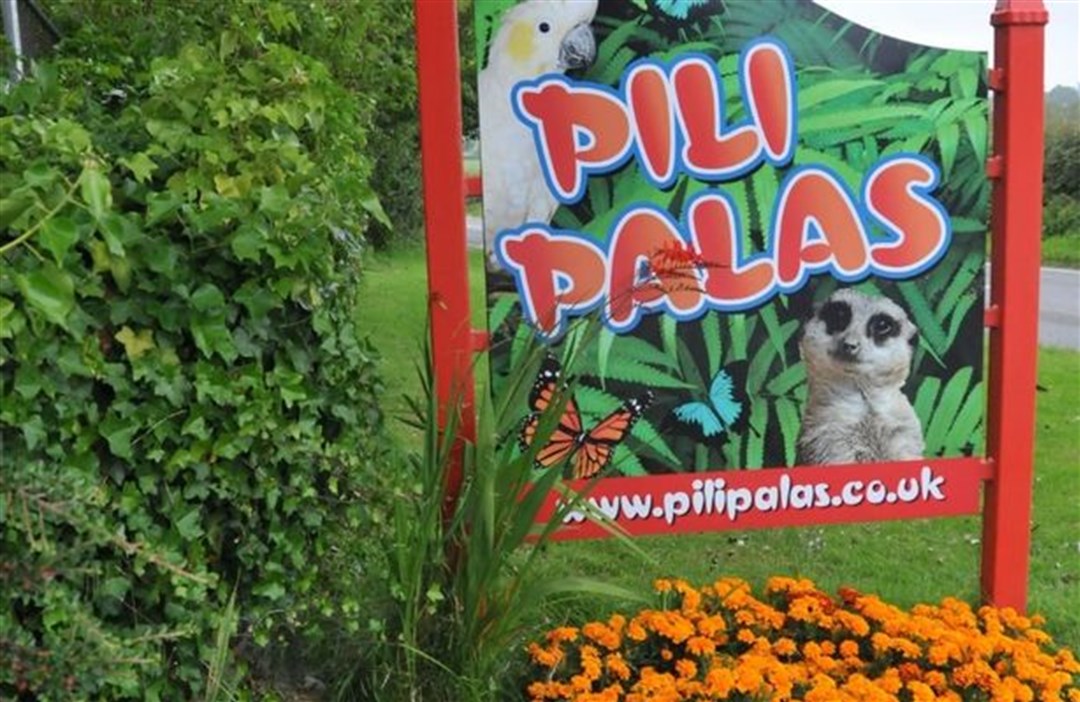 Family day out in Anglesey in September: Pili Palas